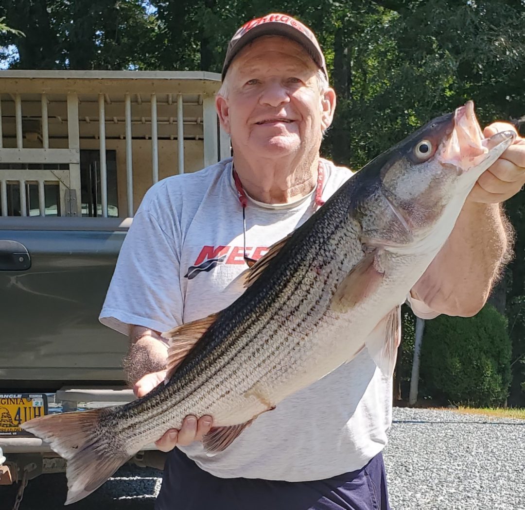 August 2020 Smith Mountain Lake Fishing Report By Captain Dale Wilson ...