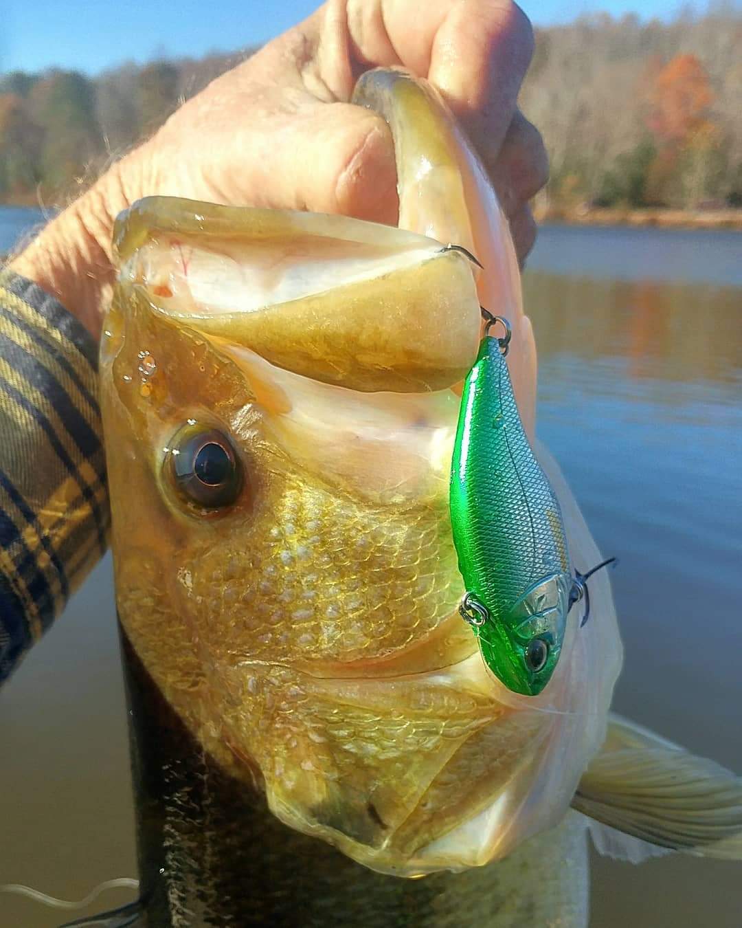 The Struggles of Winter Bassin’Finding and Catching Bassby Bruce Callis ...