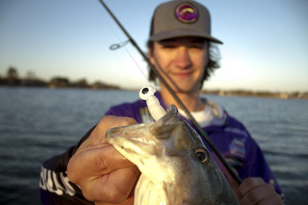 Picasso Lures Releases Speed DropDesigned with Million Dollar Winner ...