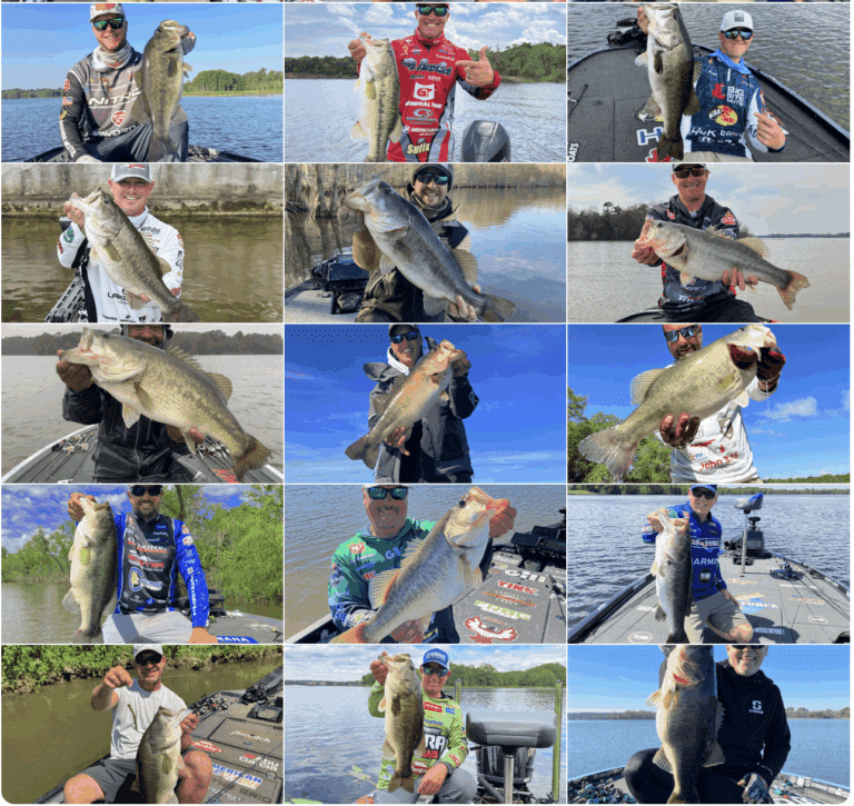 GALLERY: 2025 Heavy Hitters roster rundown | The Bass Cast