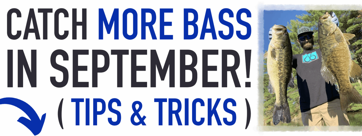 Bass Fishing Tips for September! | The Bass Cast